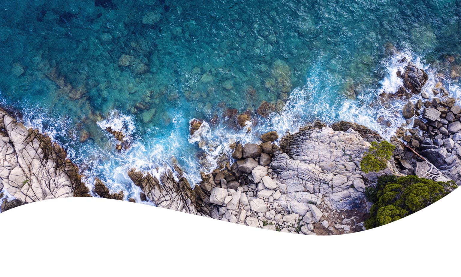 MISSION RESTORE OUR OCEAN AND WATERS – BlueMissionMed